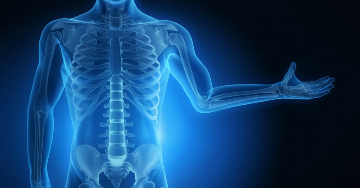 EMS Therapy – Electrical Muscle Stimulation Explained | Ions® Therapy ...